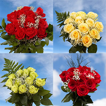 Order Dozens of Red and Assorted Colors of Roses | GlobalRose