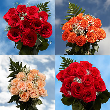 Order Dozens of Red and Assorted Colors of Roses | GlobalRose