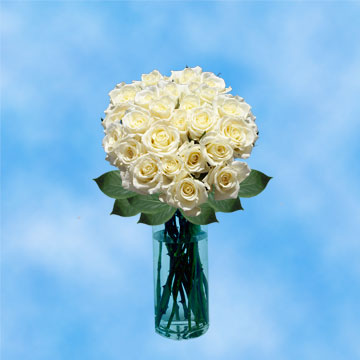 Two Dozen White Roses Free Valentine's Day Delivery | GlobalRose