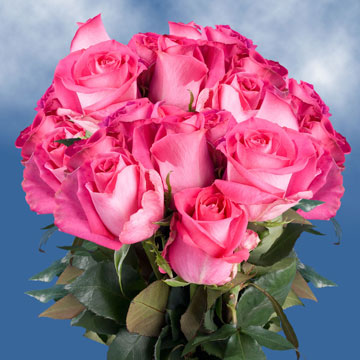 Pink Roses Delivery | GlobalRose