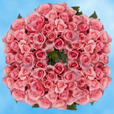 Peach Roses Professional Flowers High & Arena Roses | GlobalRose
