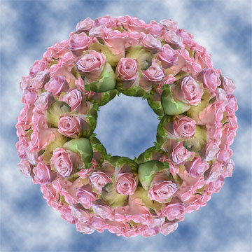 Real Light Pink Roses | GlobalRose