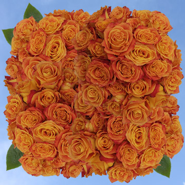 Real Yellow and Red Silantoy Roses For Sale | GlobalRose