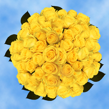 Send Big Yellow Roses | GlobalRose
