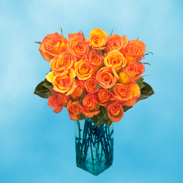 Send Dark Orange Roses | GlobalRose