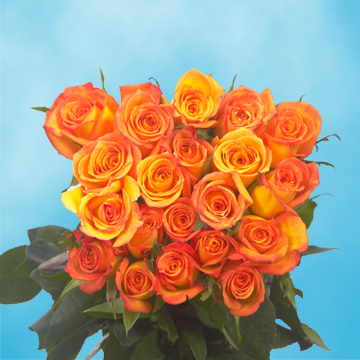 Send Dark Orange Roses | GlobalRose