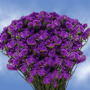 Statice Flowers Limonium Purple Bouquet Fillers | GlobalRose