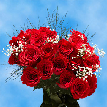 Roses by the Dozen No Hidden Cost | GlobalRose