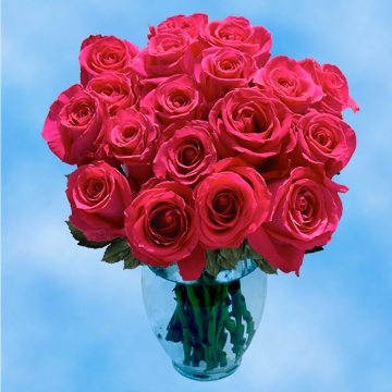 Valentine's Day Flowers Hot Pink Roses | GlobalRose