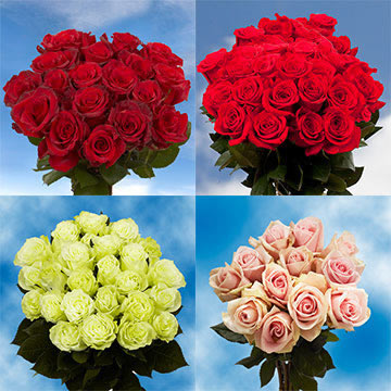 Valentine's Day Rose Delivery | GlobalRose