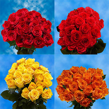 Valentine's Day Rose Delivery | GlobalRose