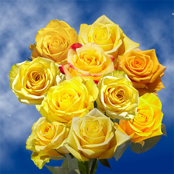 Vivid Assortment of Yellow Roses | GlobalRose