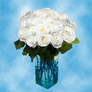 White Roses Free Valentine's Day Delivery | GlobalRose