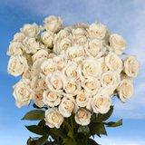 Floral Wedding White Roses Lilies Hydrangeas Carnations | GlobalRose