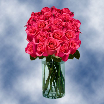 Wholesale Beautiful Hot Pink Roses | GlobalRose