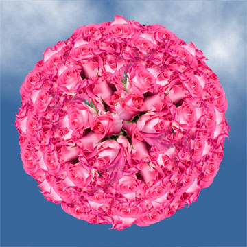 Roses Delivery | GlobalRose