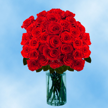 Wholesale Red Roses | GlobalRose