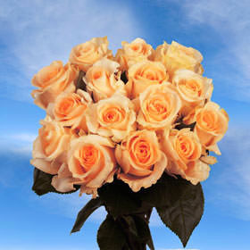 Wholesale Valentine's Day Flowers | | GlobalRose